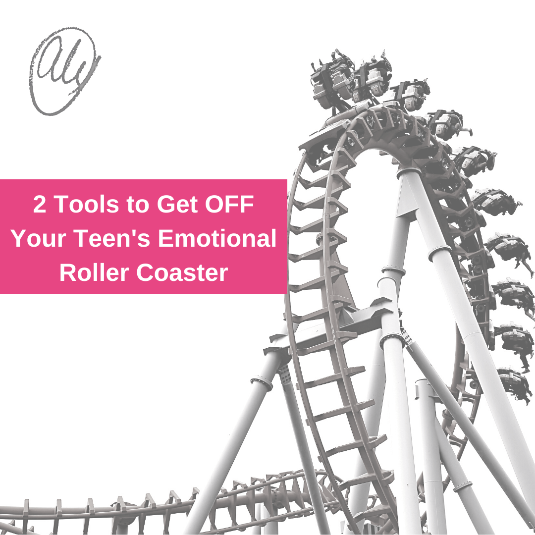 2 Tools to Get OFF the Teenage Emotional Rollercoaster | Aly Pain ...